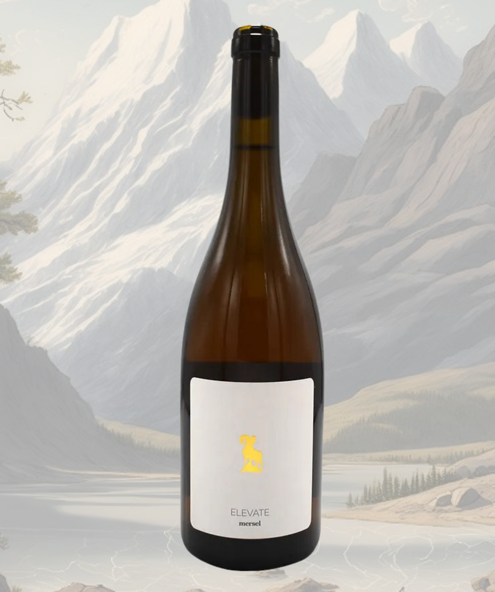 Mersel Elevate Dar al Ahmar - Lebanese Natural Wine - Orange Wine from ...