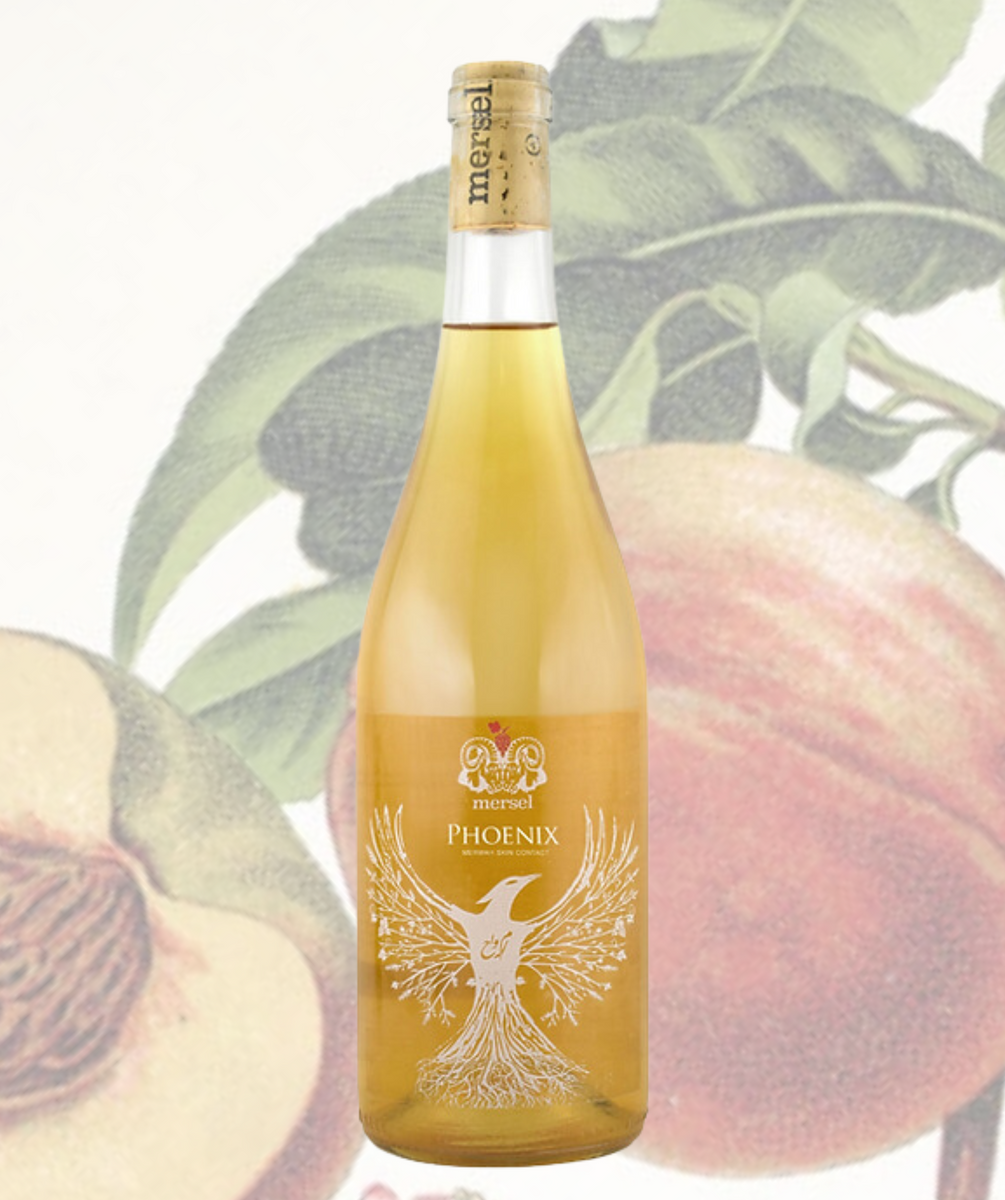 Phoenix Merwah Skin-Contact - Lebanese Natural Wine - Orange Wine from ...