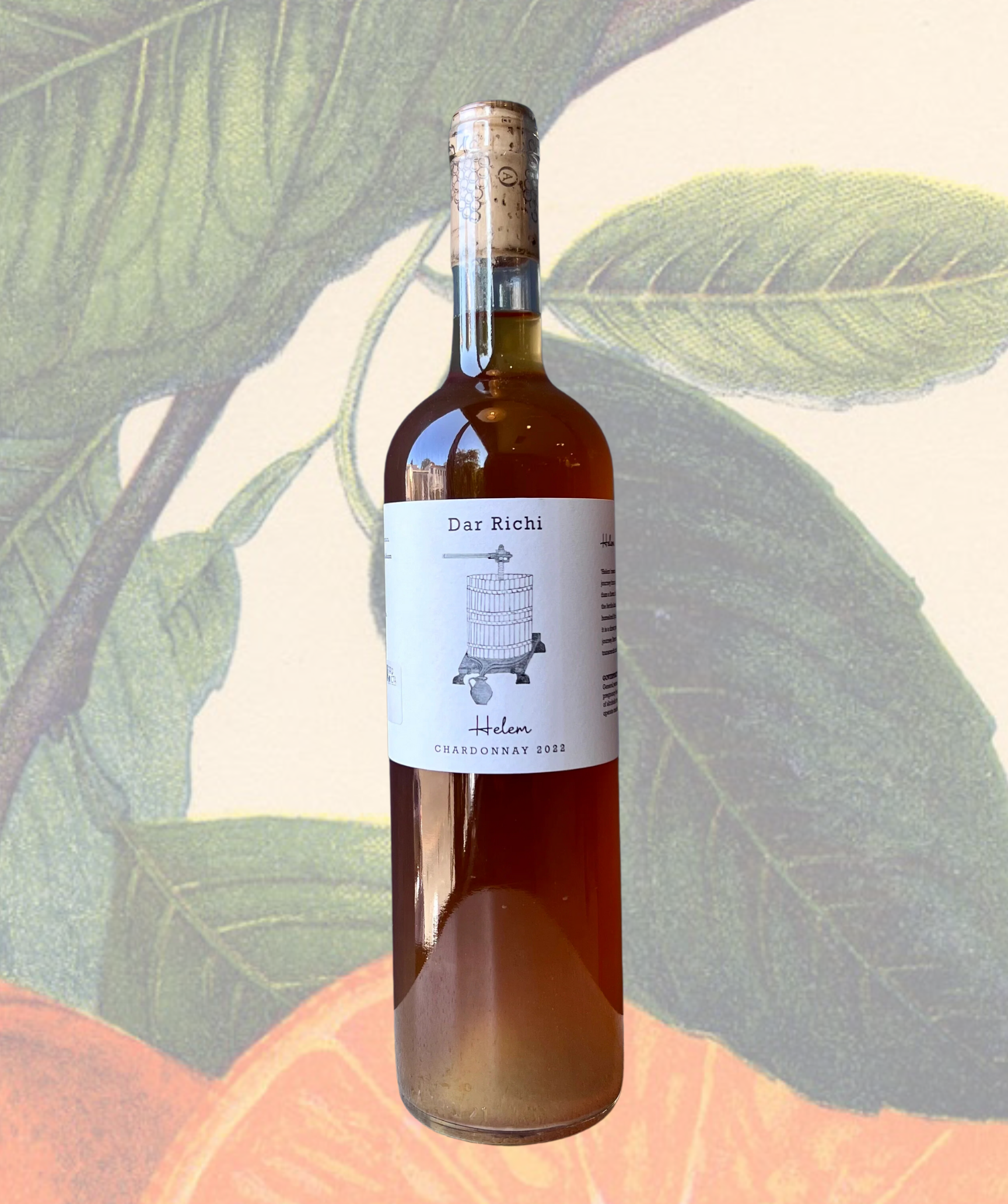 Dar Richi - Helem - Lebanon Natural Wine – US Natural Wine