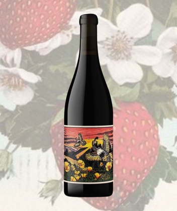 Natural Red Wine - Red Natural Wine – US Natural Wine