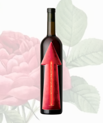 Natural Red Wine - Red Natural Wine – US Natural Wine