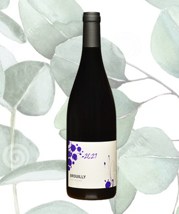 Natural Red Wine - Red Natural Wine – US Natural Wine