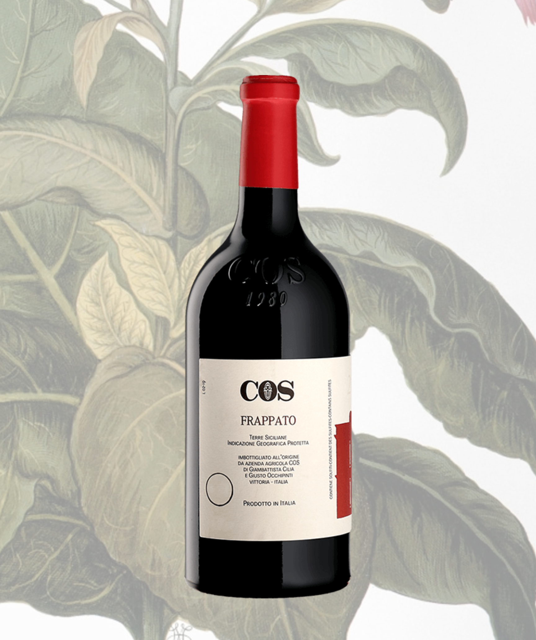 Cos Frappato - Red Wine - Italian Natural Wine – US Natural Wine