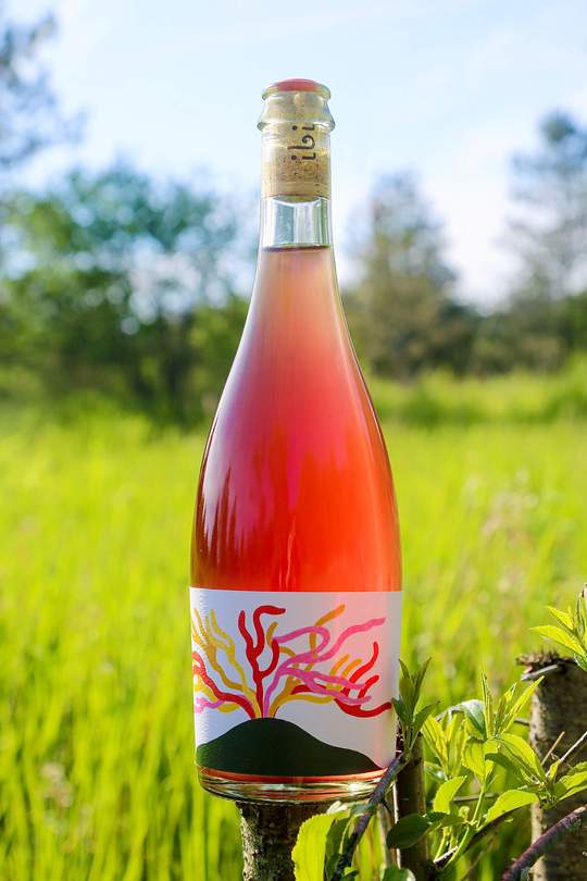 Ibi Wines - Apollo - Zweigelt Rose - Canadian Natural Wine – US Natural ...