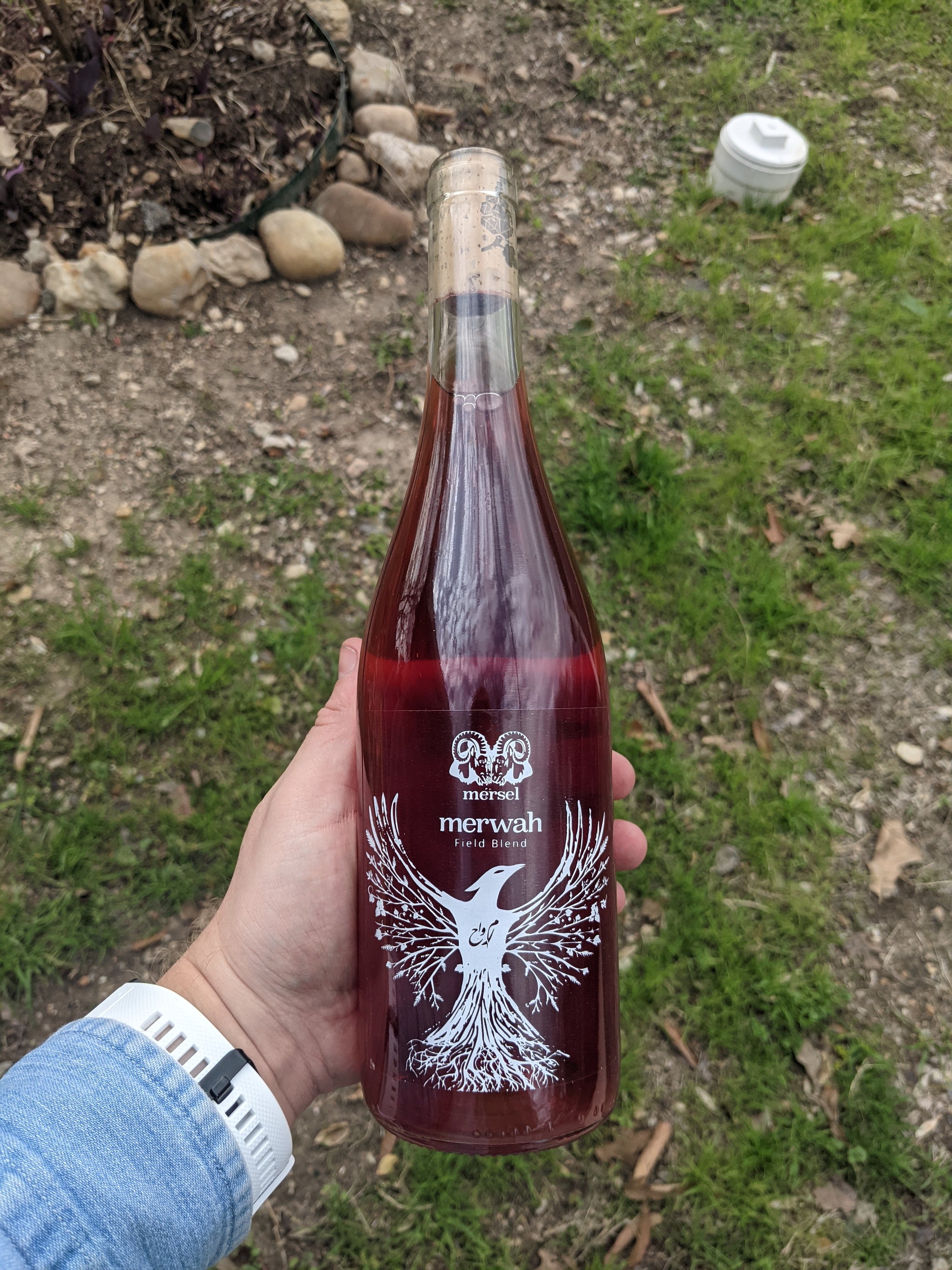 Phoenix Merwah Field Blend, Lebanese Natural Wine - Rose Wine from ...