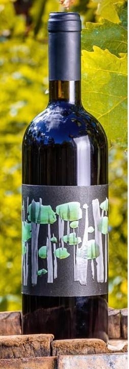 Doric Wines - Red Wine - Greek Natural Wine – US Natural Wine